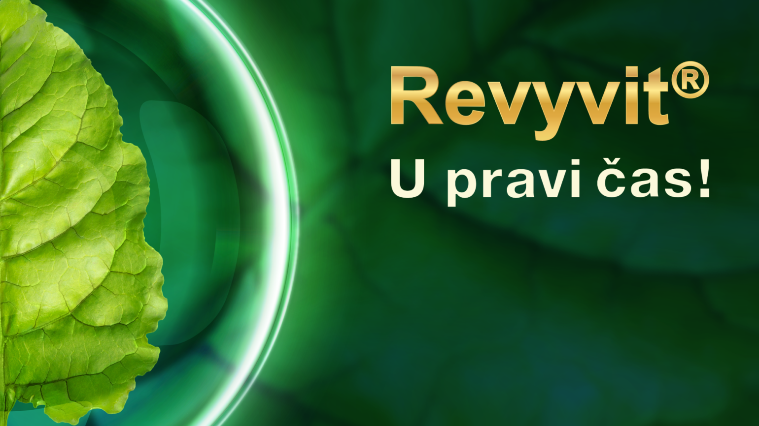 Revyvit ® Fungicid preventivnog i kurativnog delovanja BASF
