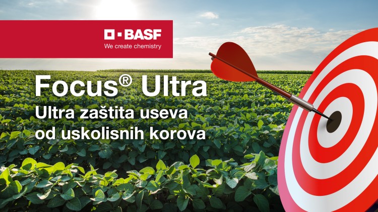 Focus® Ultra herbicid - BASF poljoprivredna rešenja