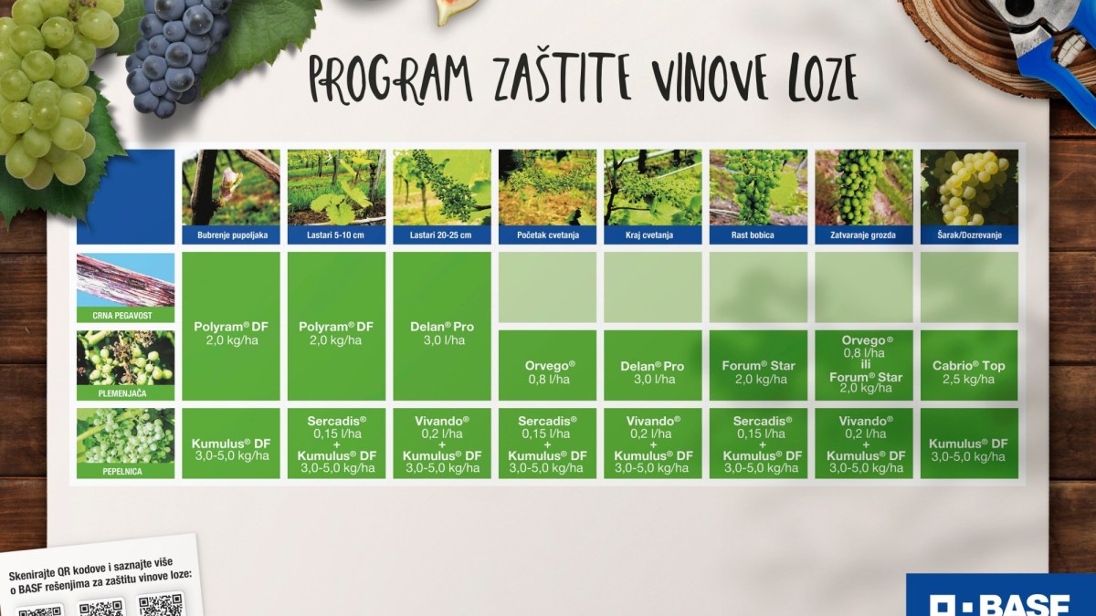 Zaštita vinove loze