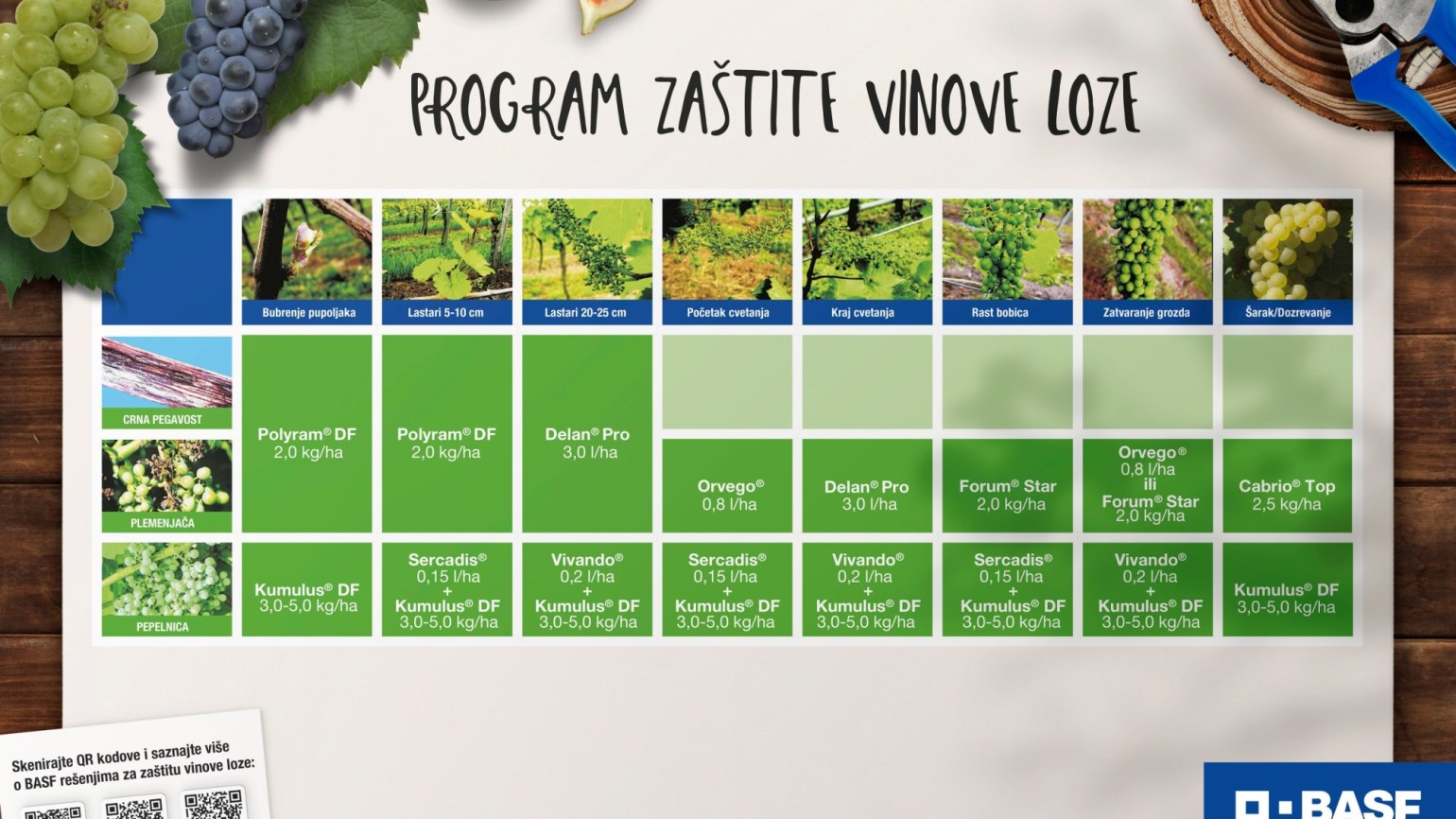 Zaštita vinove loze